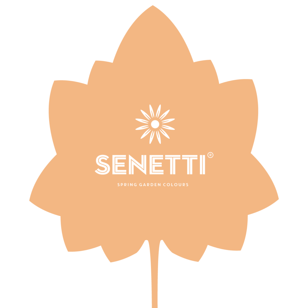 Senetti® - Senetti® is a completely new collection of Pericallis hybrids